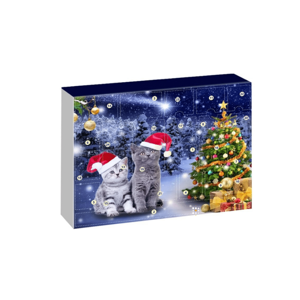 Purina Advent Calendar | 24 Cans Of Wet Food For Cat